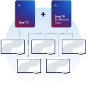 Multiroom Max: blue TV auf mehreren Geräten | Swisscom